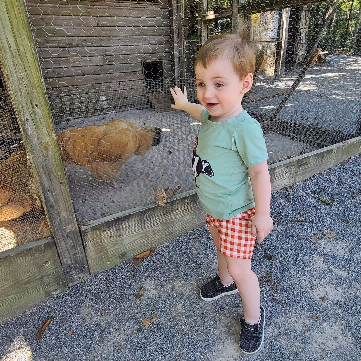 Farm Shorts Set – Golden Cactus Tutus & Apparel